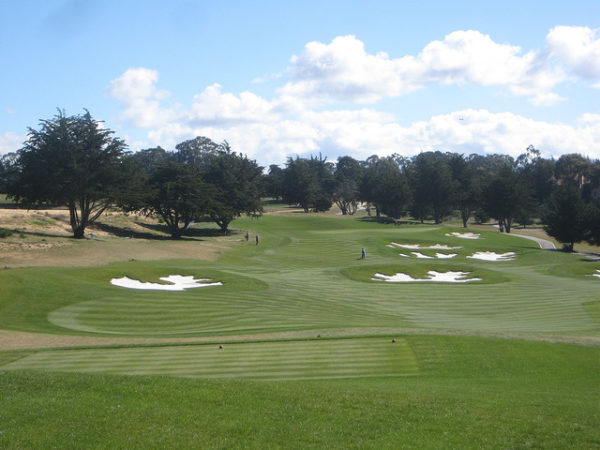 Golf at Bayonet Black Horse, Monterey Bay, California - Nancy D Brown