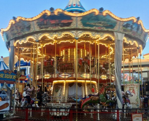 Insider's Pier 39 San Francisco Experience - Nancy D Brown